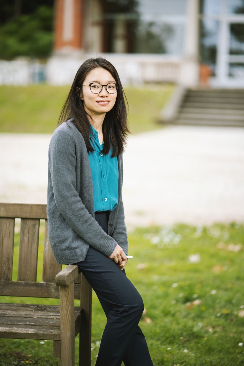 Hong Wang - IHES